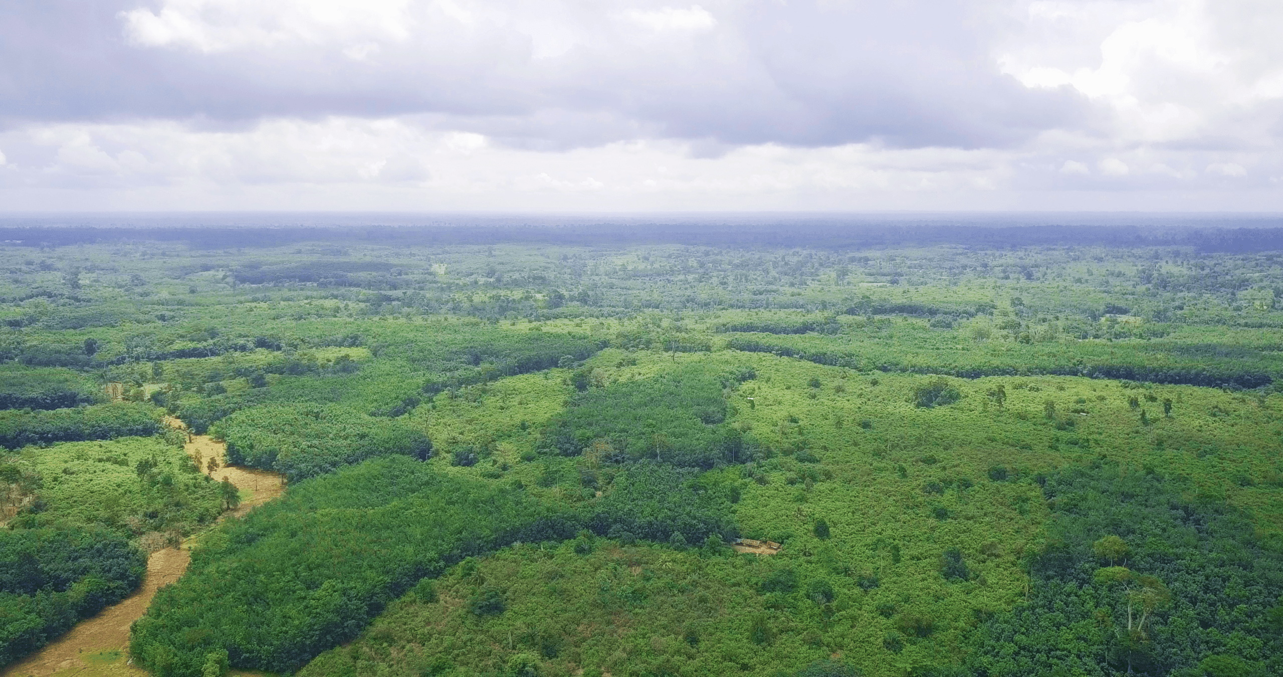 Edelsource - Source & Deliver | Launching the Cavally Forest ...